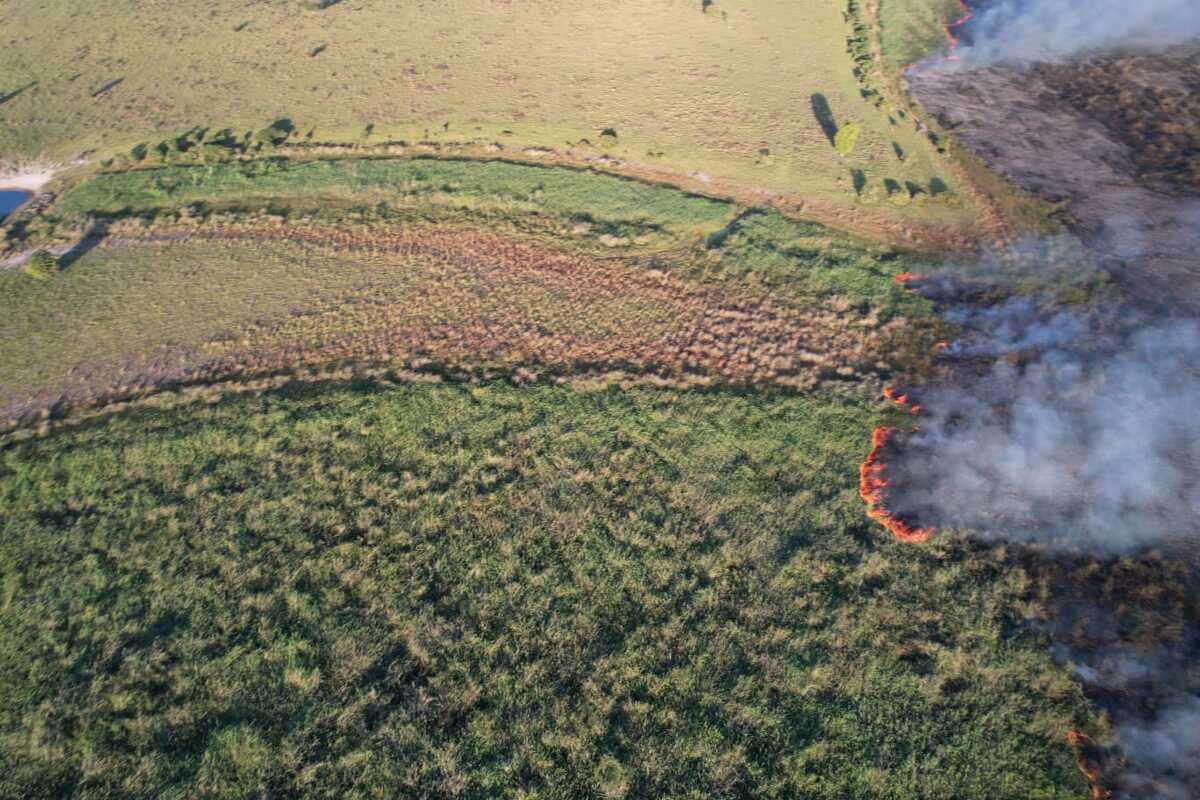 Combate A Incêndios Florestais Monitoramento E Ações Preventivas